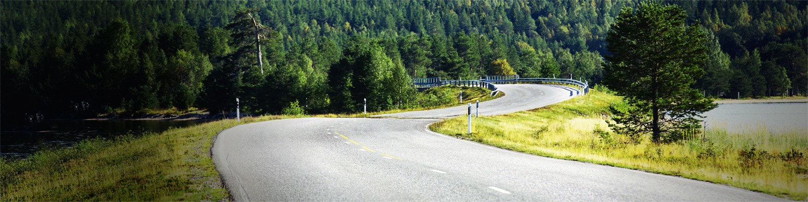 Шины Ikon Tyres (бывш. Nokian Tyres) - купить шины Нокиан Тайерс и ...